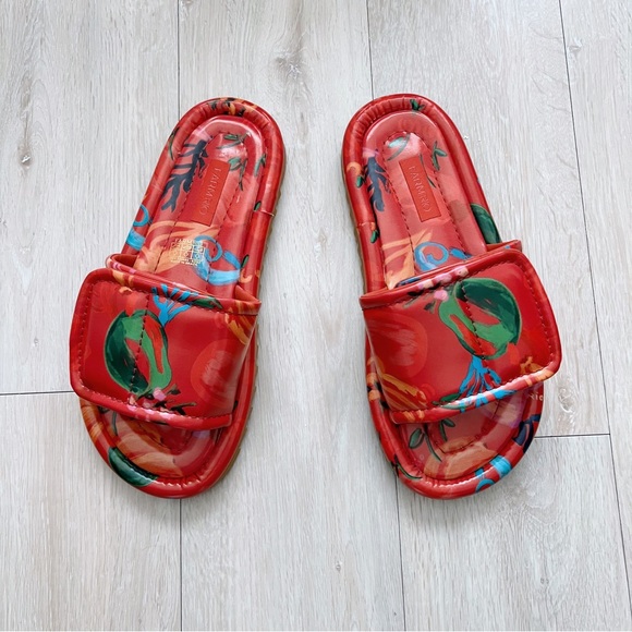 FARM Rio | Shoes | Farm Rio Slides | Poshmark